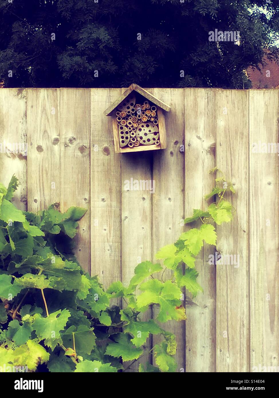 Insect fences hi-res stock photography and images - Alamy