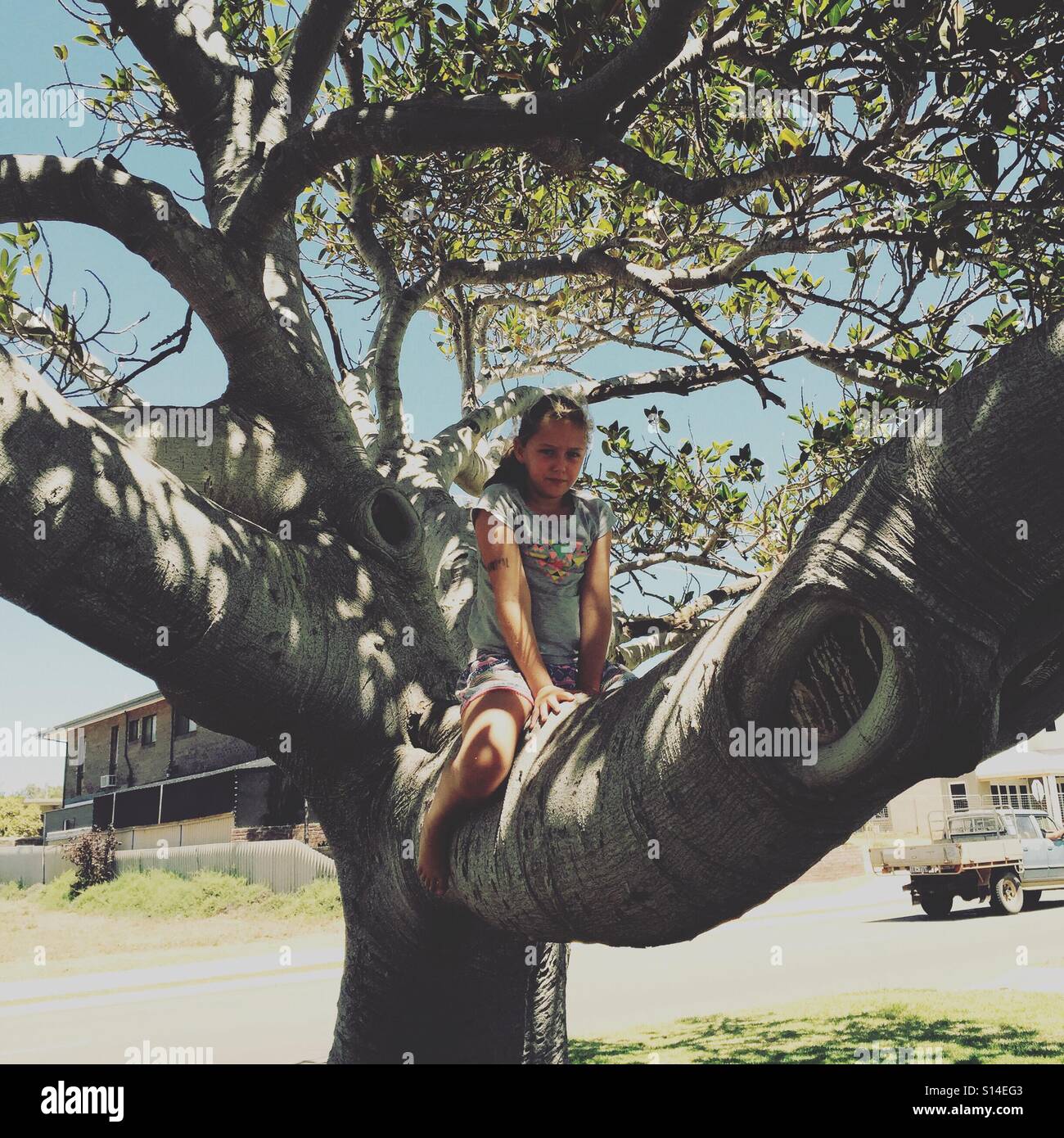 Kids climbing tree hi-res stock photography and images - Alamy