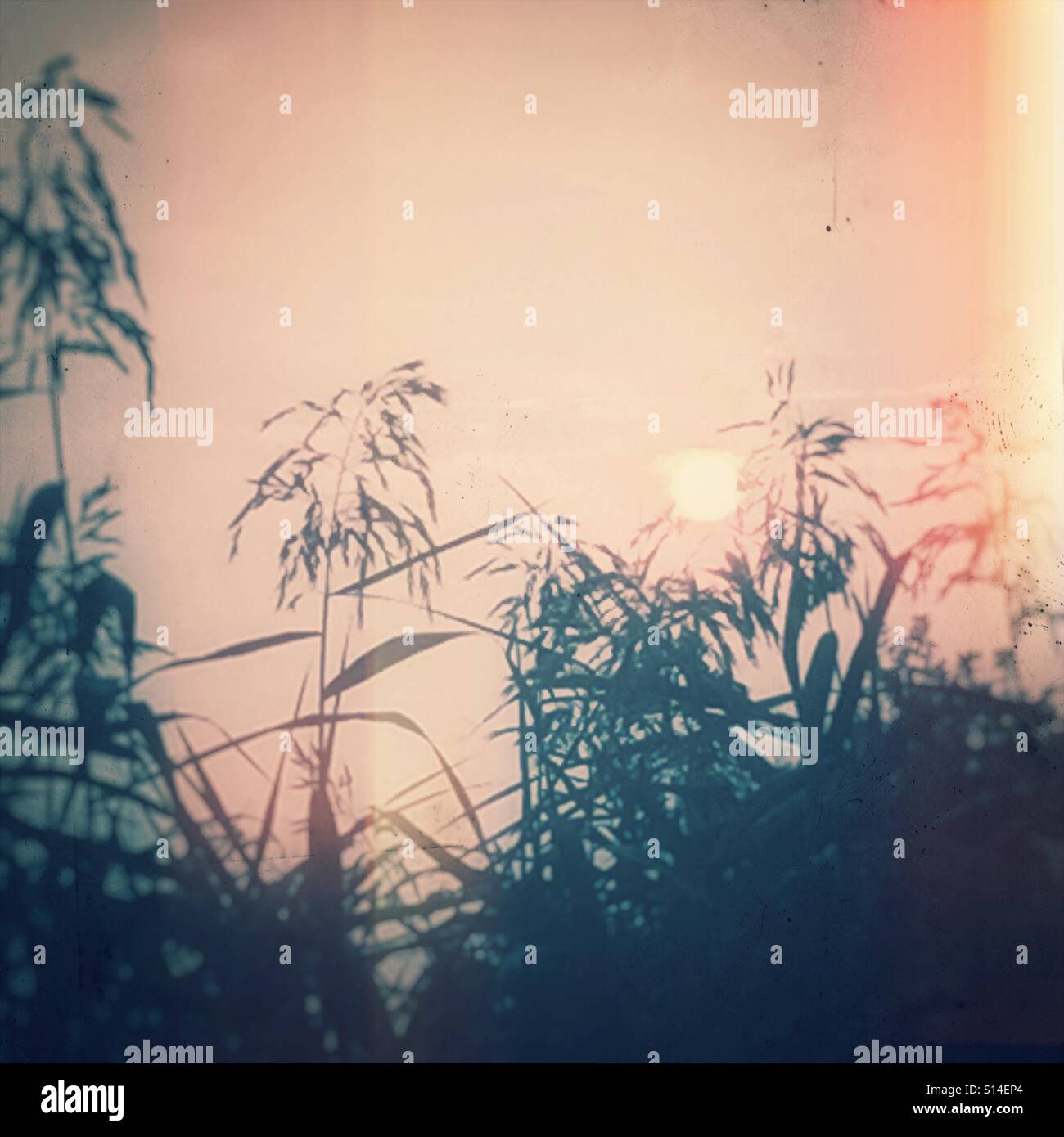 Pretty setting hi-res stock photography and images - Alamy