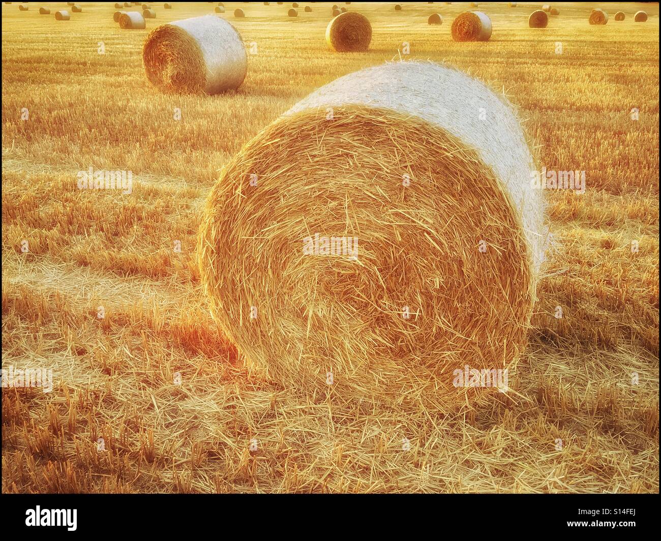 Creative hay bales hi-res stock photography and images - Alamy