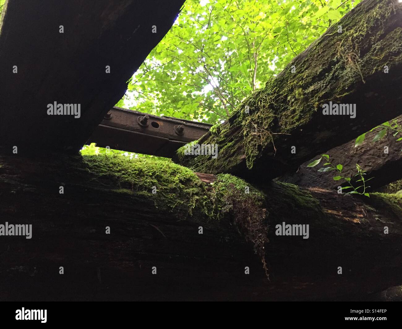 Train Trellis High Resolution Stock Photography and Images - Alamy