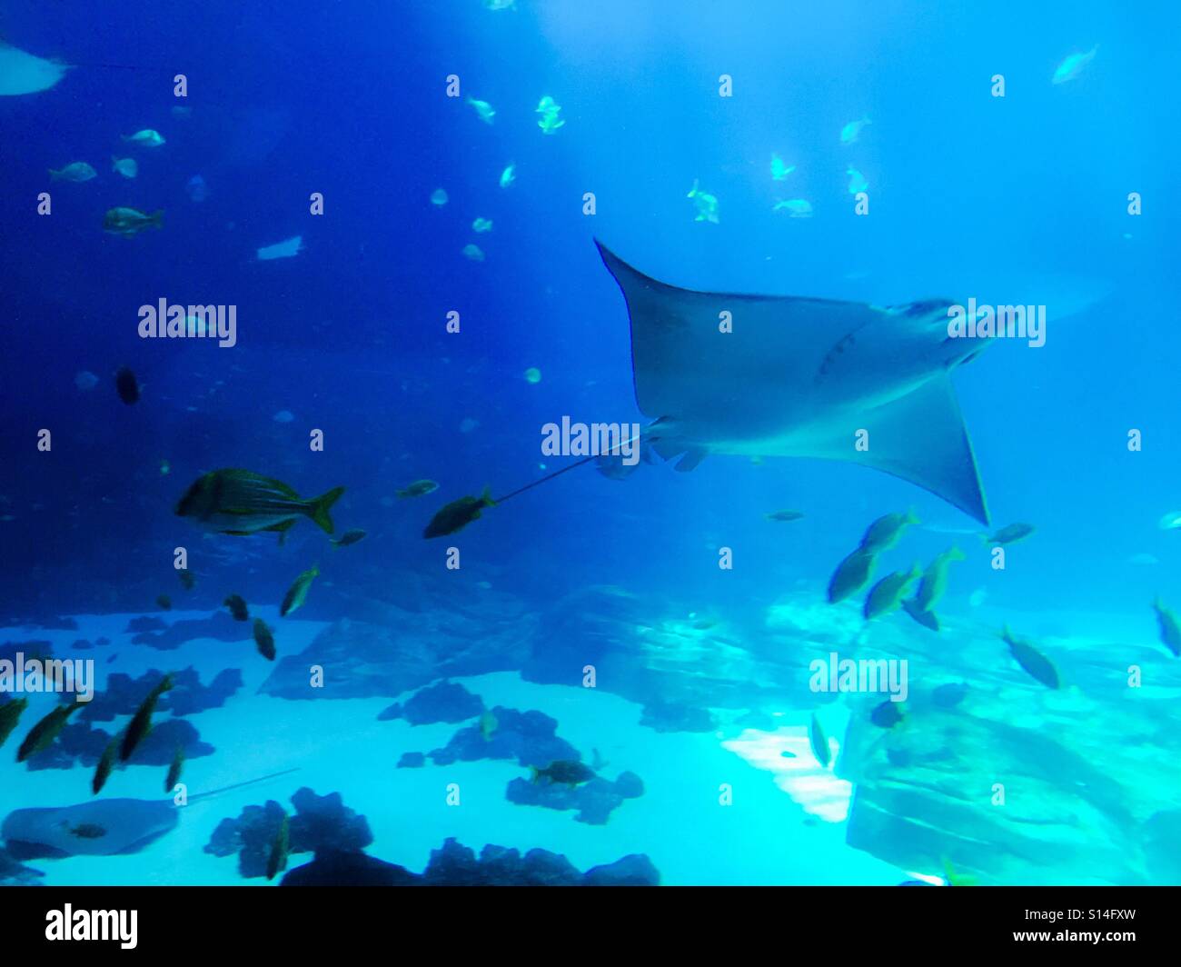 Atlanta ocean hi-res stock photography and images - Alamy