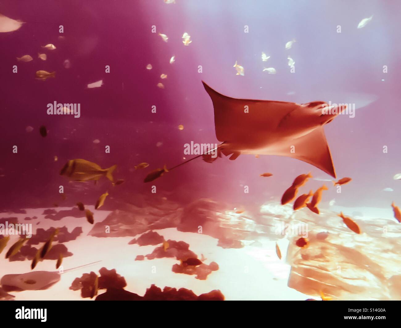 Atlanta ocean hi-res stock photography and images - Alamy