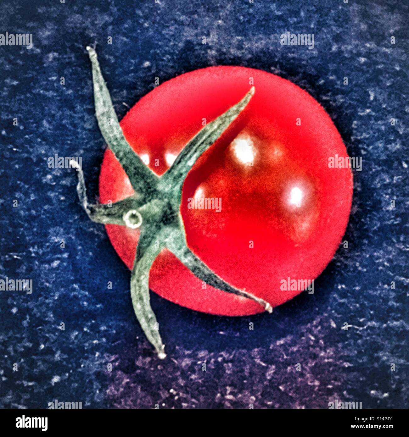 Fruit of tomato smartphone stock photos and images - Alamy