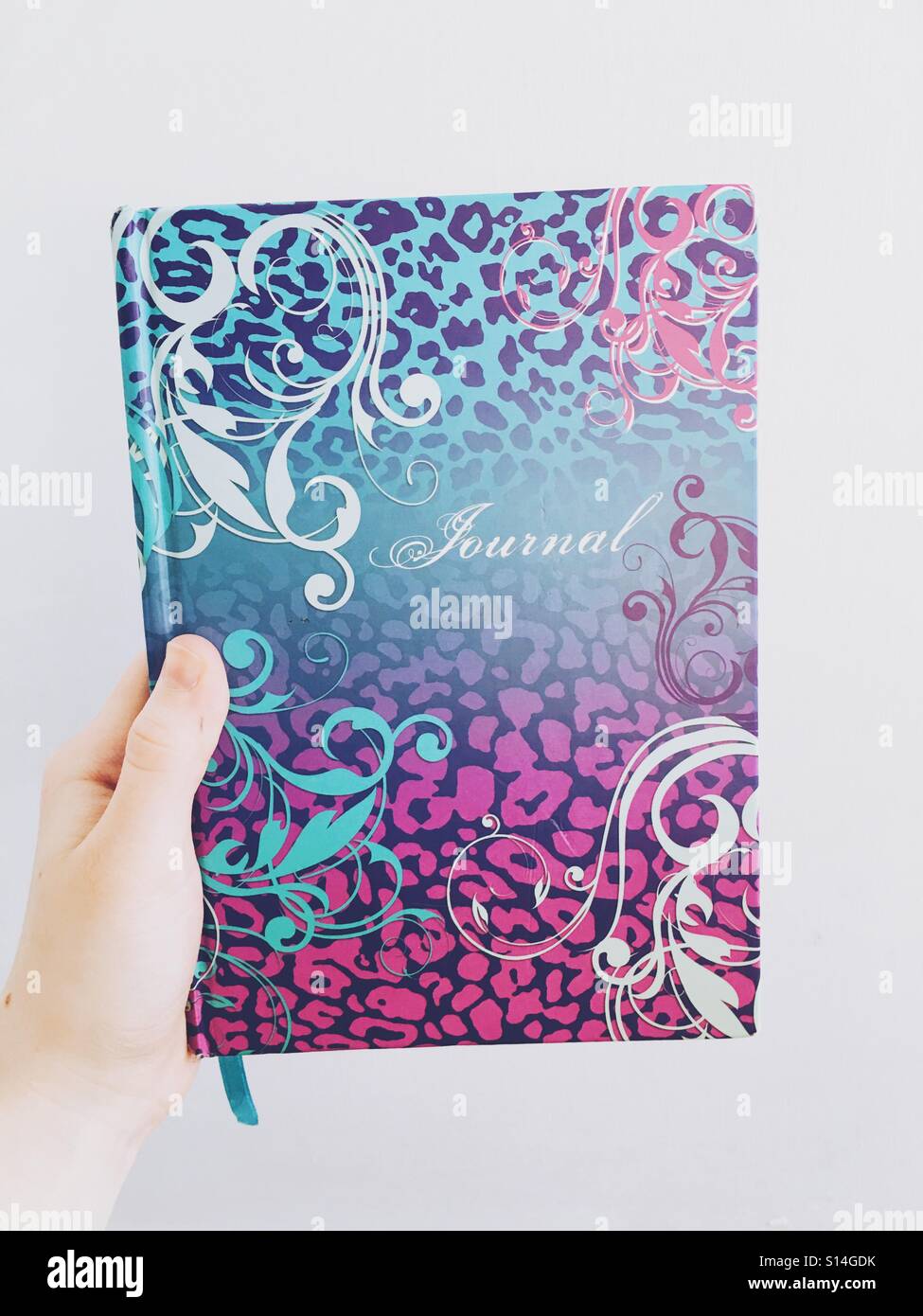Journal writing hi-res stock photography and images - Alamy