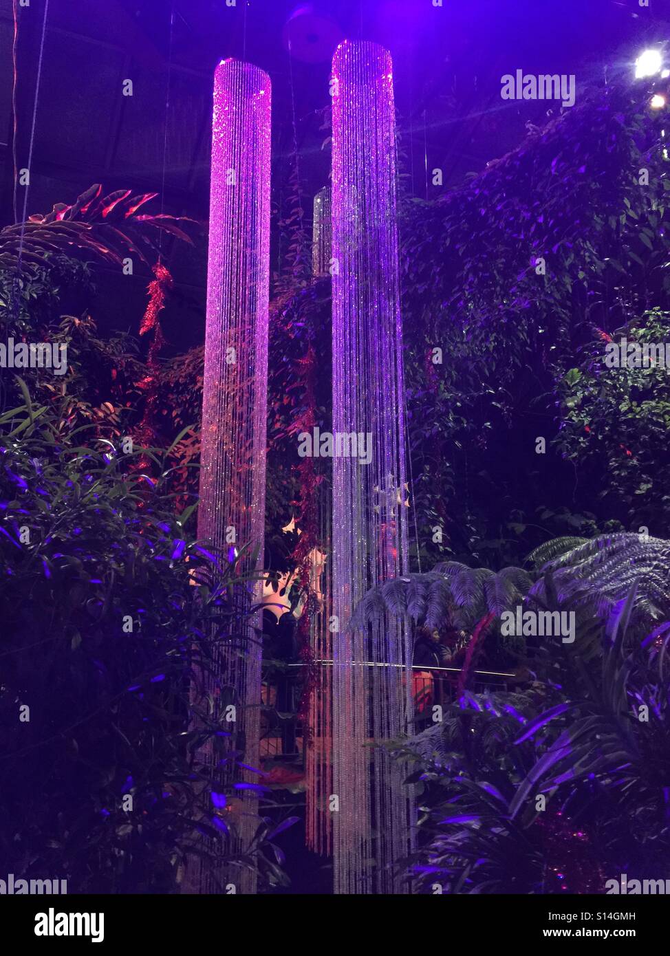 Calgary zoo lights hi-res stock photography and images - Alamy