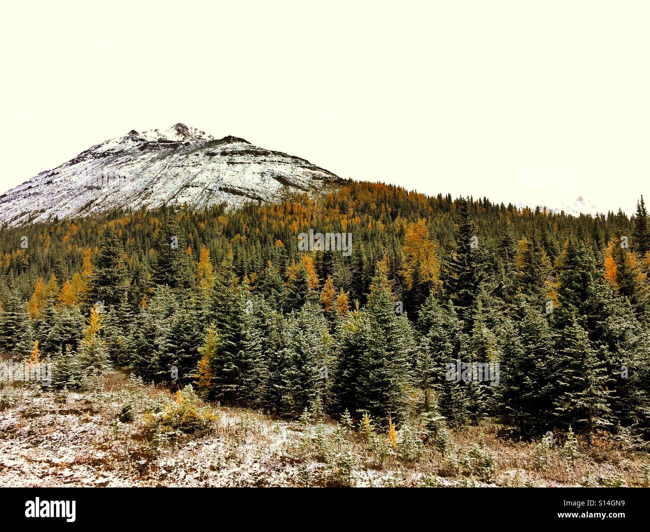 First snow in the high country Stock Photo - Alamy