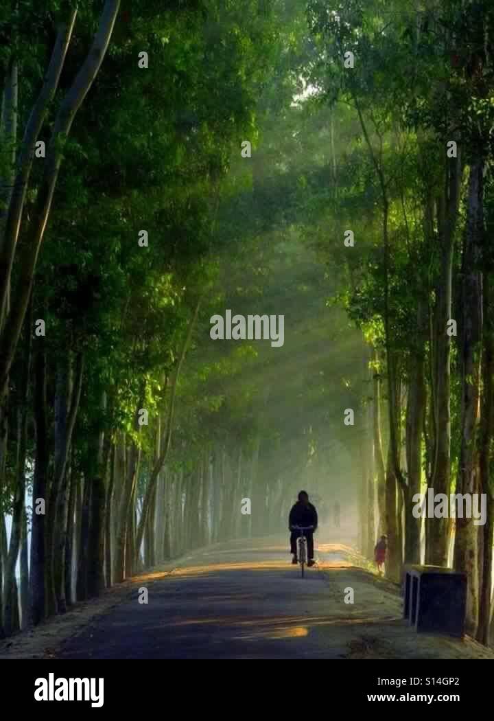 Light and shade effect on the landscape!! Stock Photo - Alamy