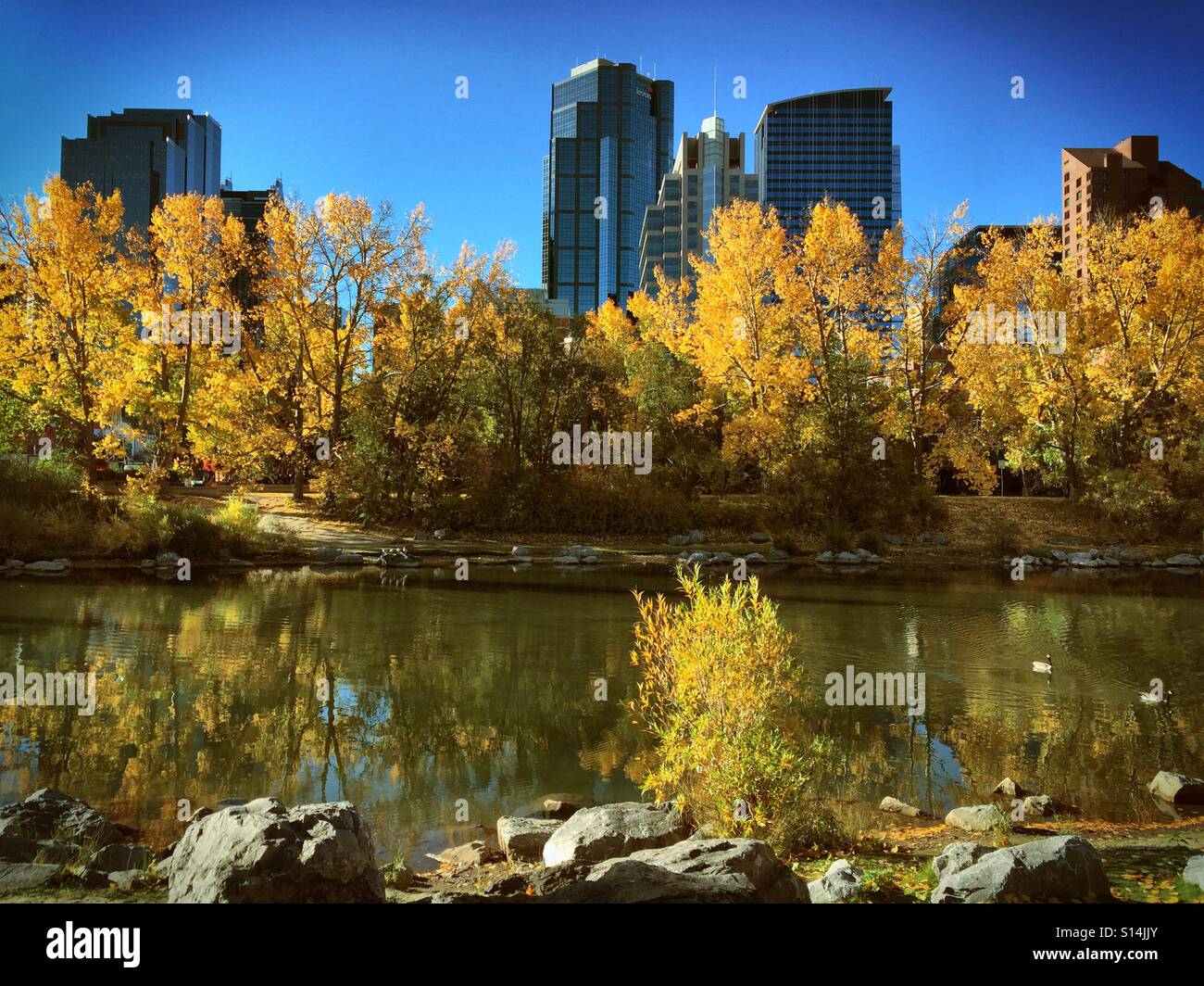 Downtown fall hi-res stock photography and images - Alamy