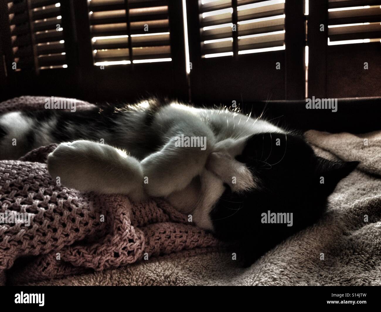 Naps High Resolution Stock Photography and Images - Alamy