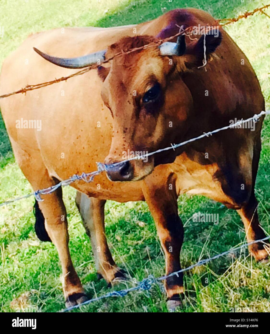 French farm field hi-res stock photography and images - Alamy