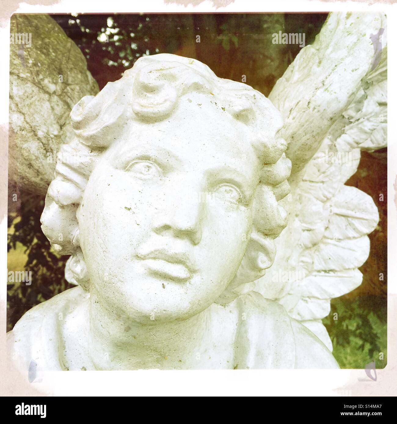 Face of an angel hi-res stock photography and images - Alamy