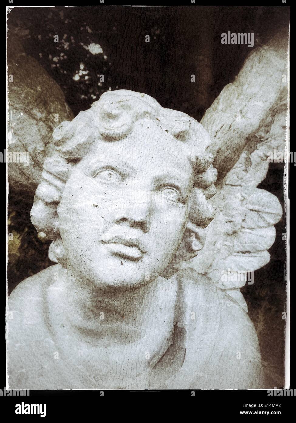 Face of an angel hi-res stock photography and images - Alamy