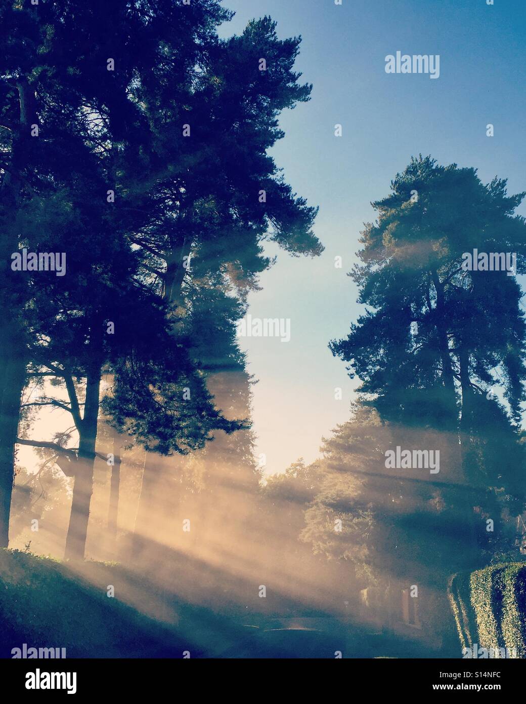 Atmospheric smoke hi-res stock photography and images - Alamy