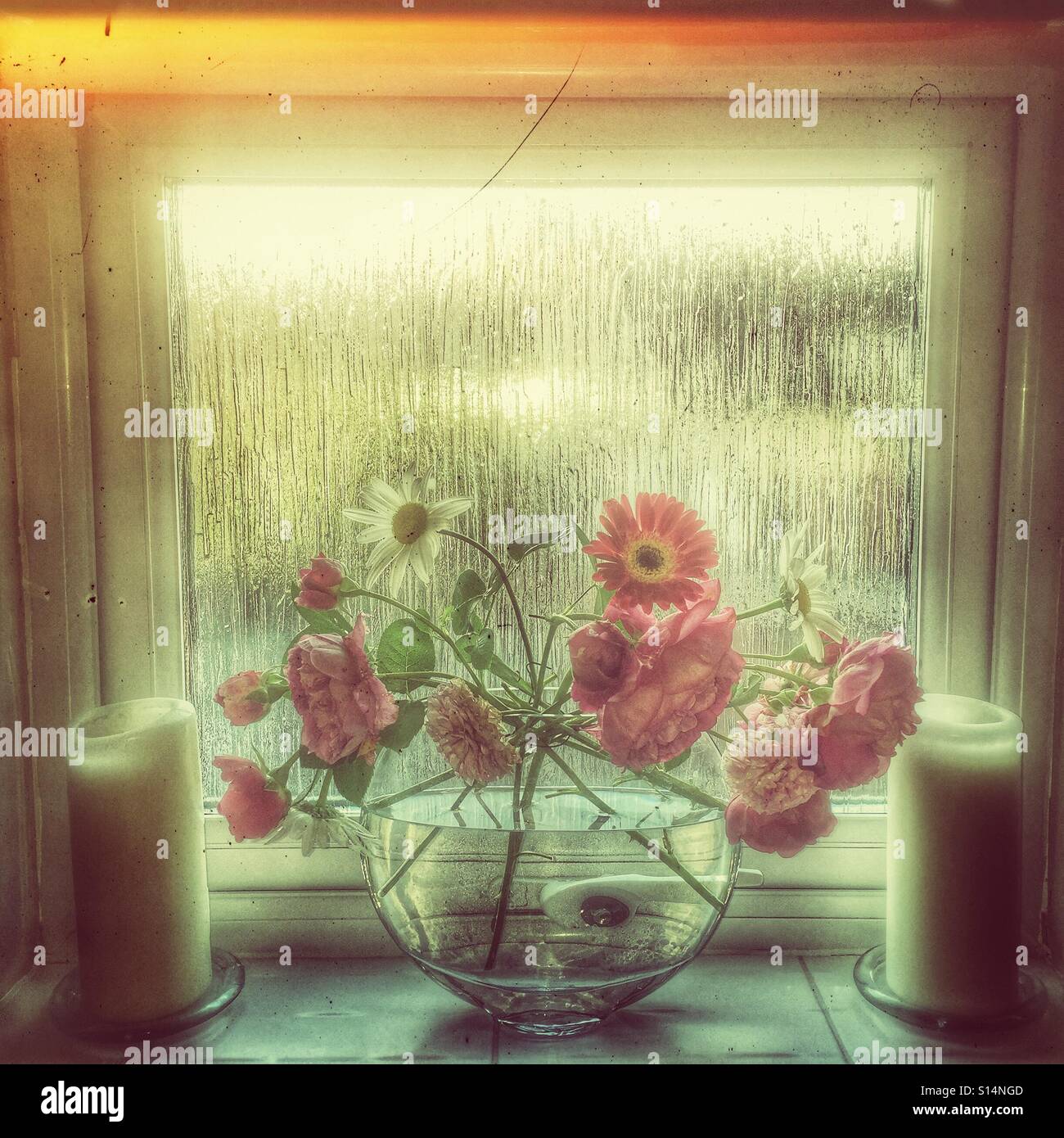 Frosted vase hi-res stock photography and images - Alamy