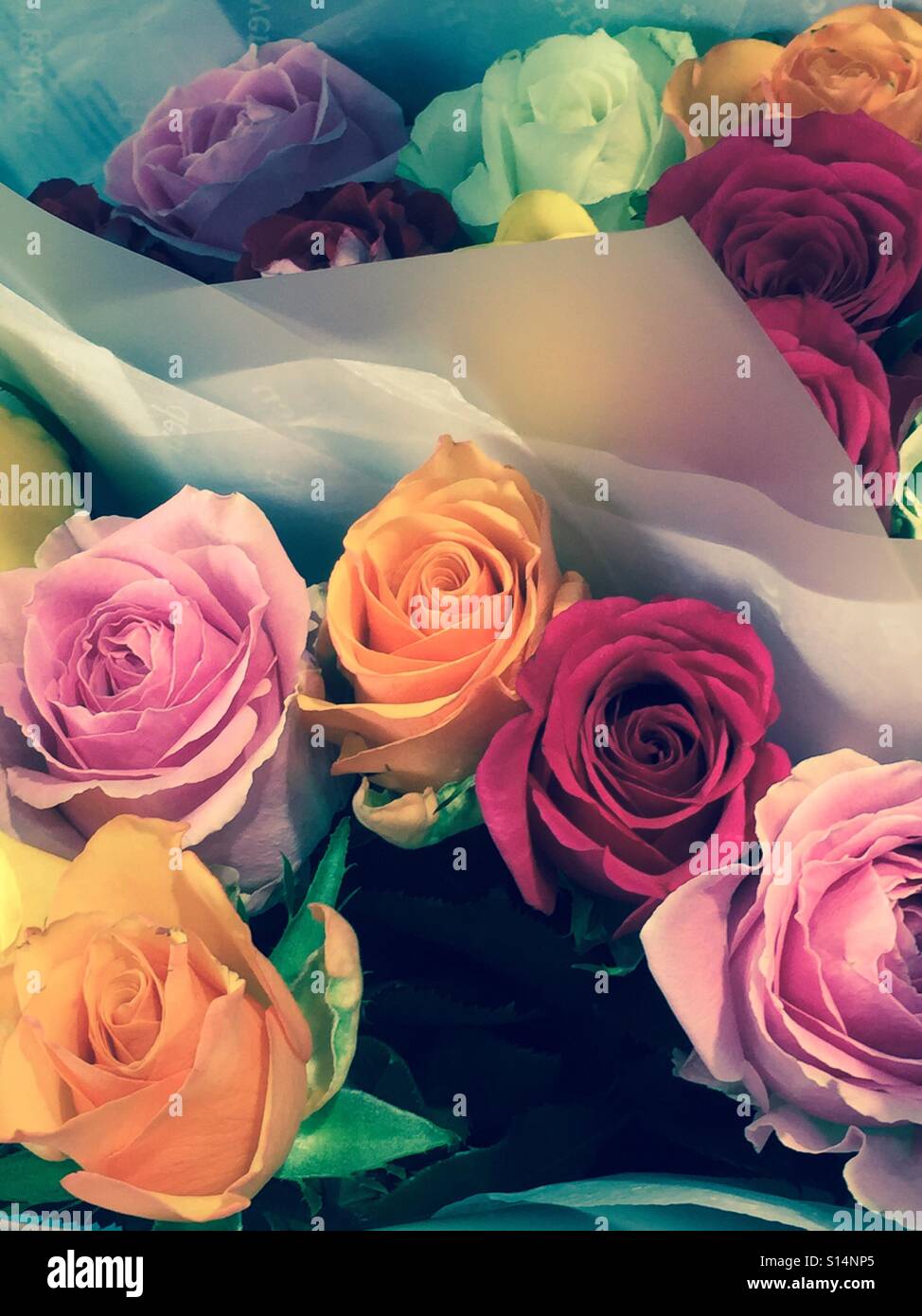 Roses Bunched High Resolution Stock Photography and Images - Alamy