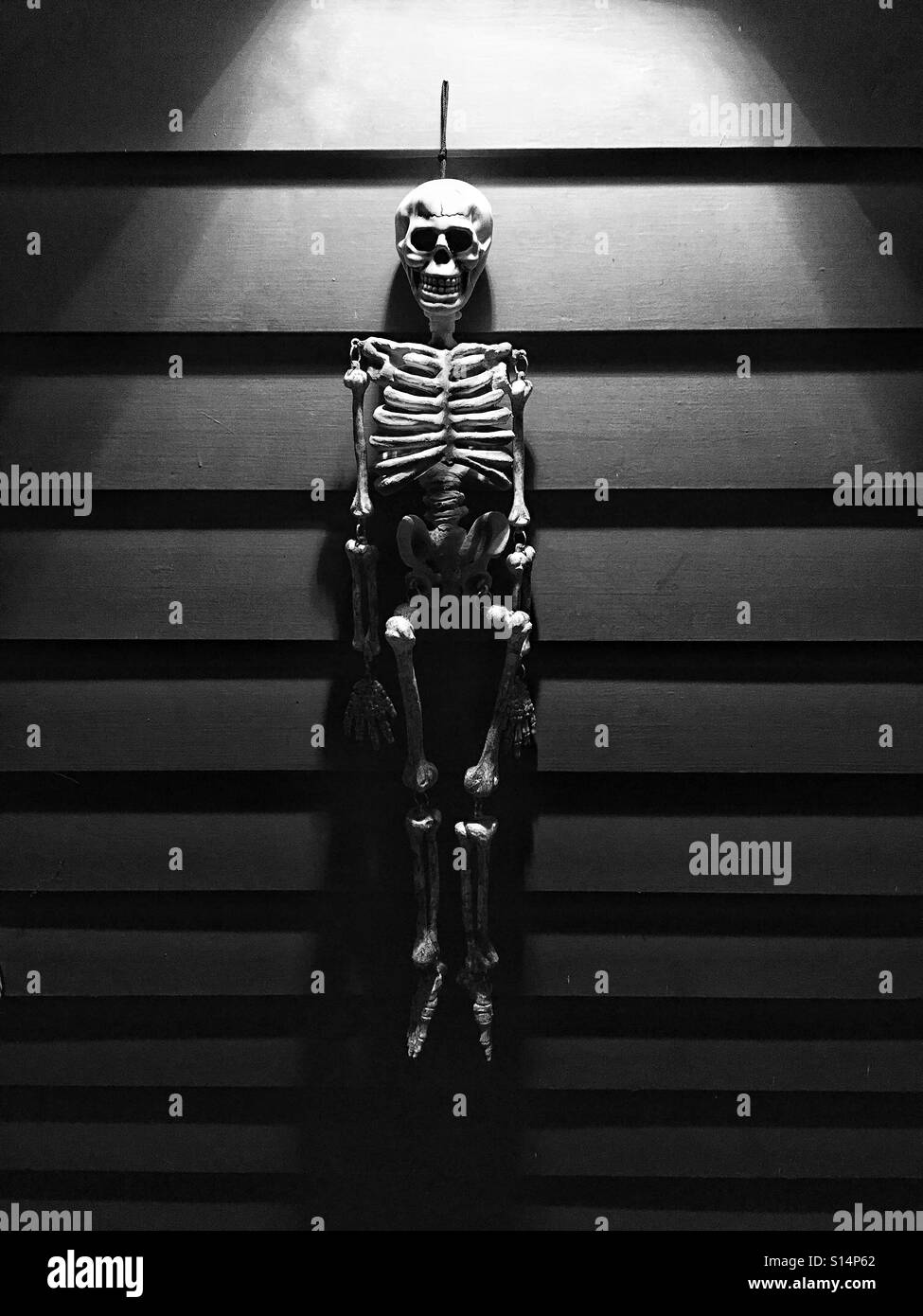 Halloween Skeleton High Resolution Stock Photography and Images - Alamy