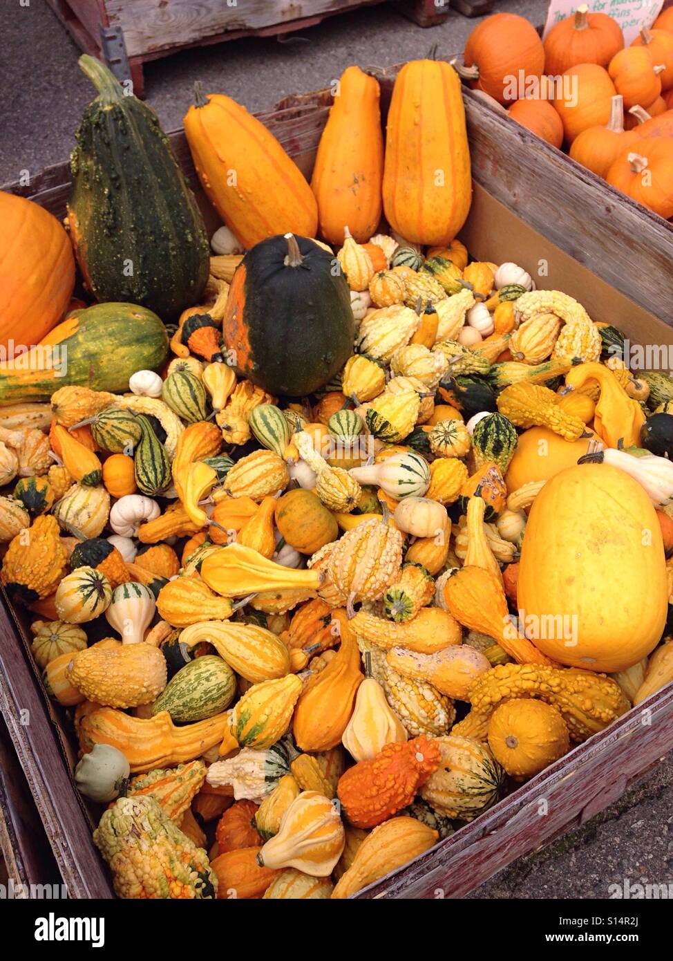 Decorative gourds hi-res stock photography and images - Alamy