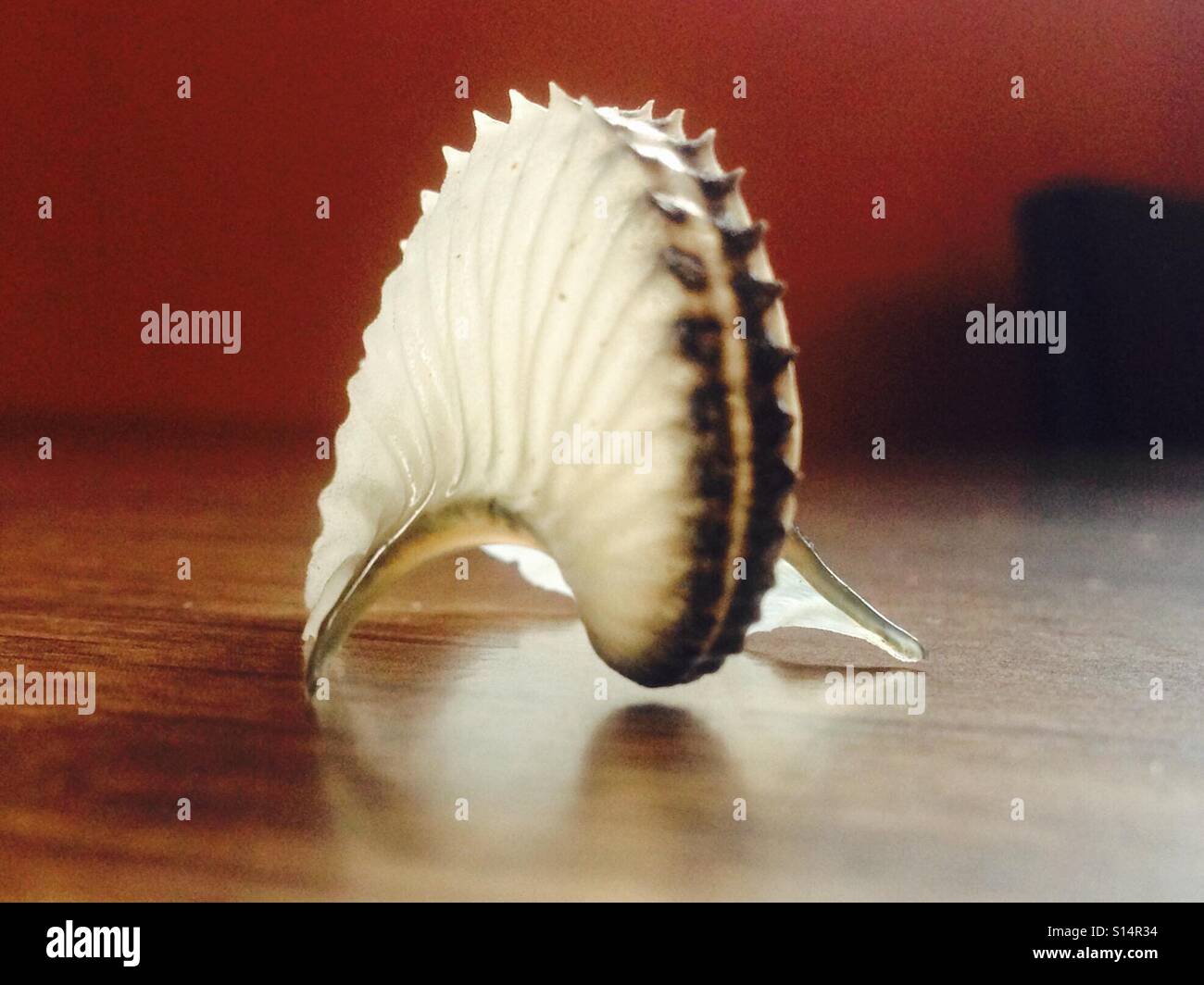 Strange color hi-res stock photography and images - Alamy