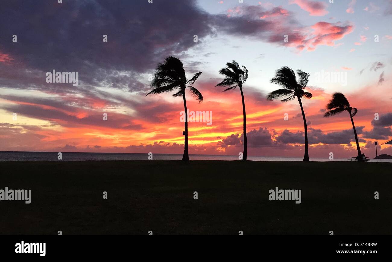 Waianae hawaii hi-res stock photography and images - Alamy