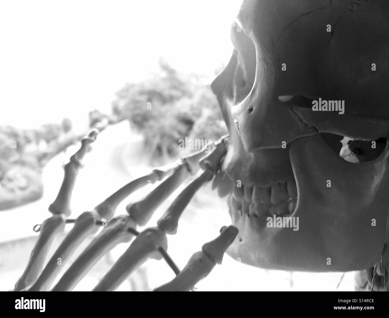 Wonder hand hi-res stock photography and images - Alamy