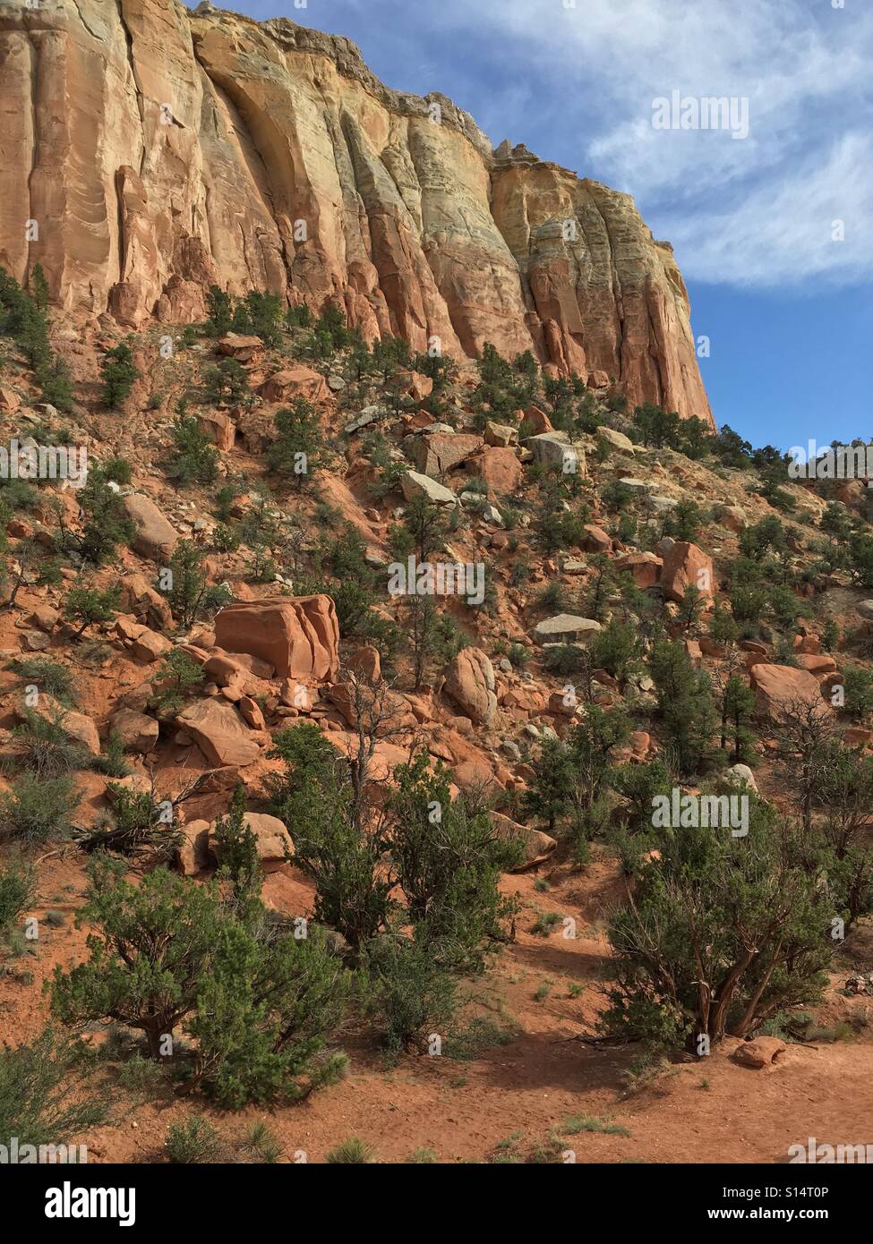 Pinon juniper hi-res stock photography and images - Alamy