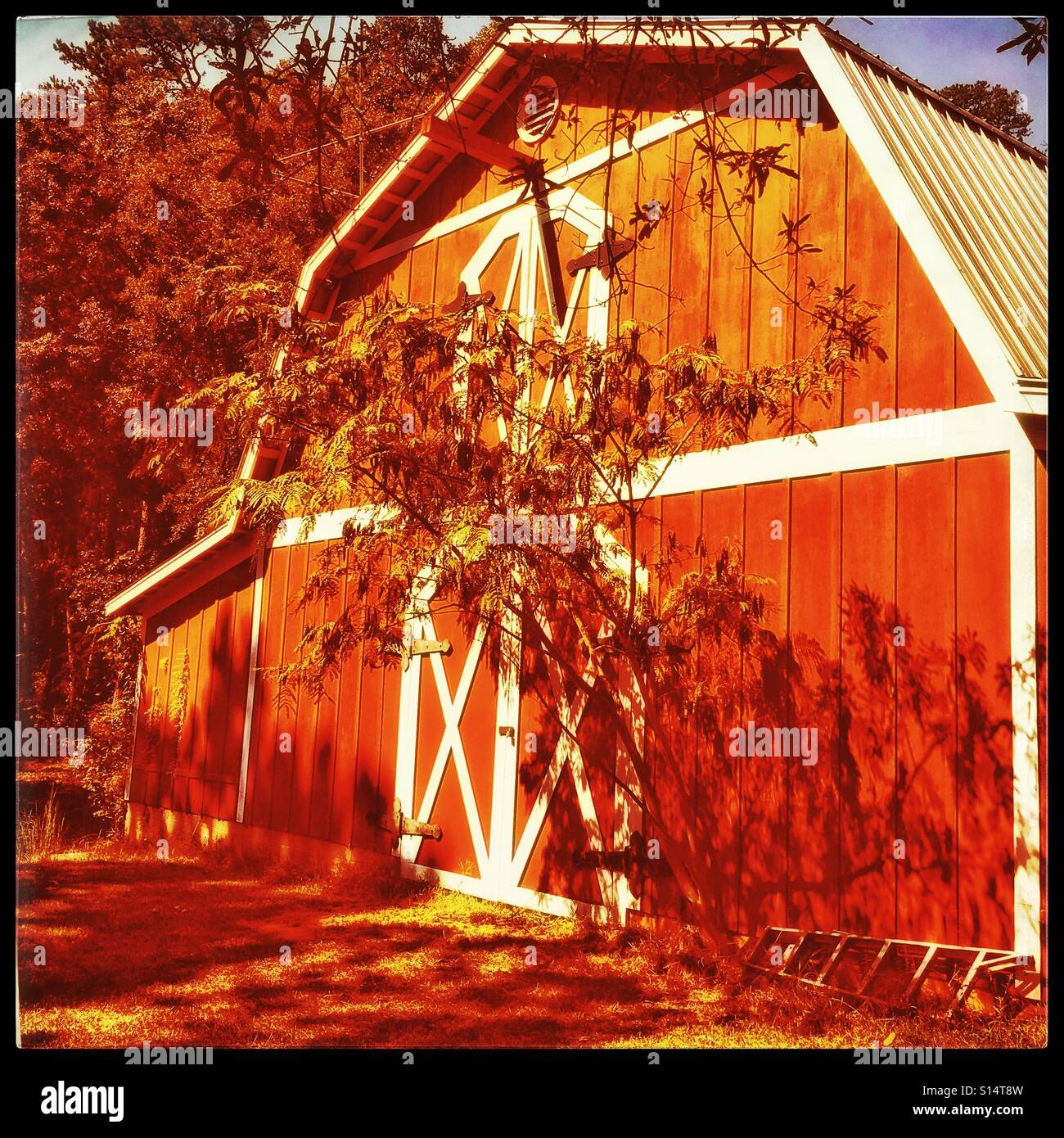 Red barn and white trim hi-res stock photography and images - Alamy