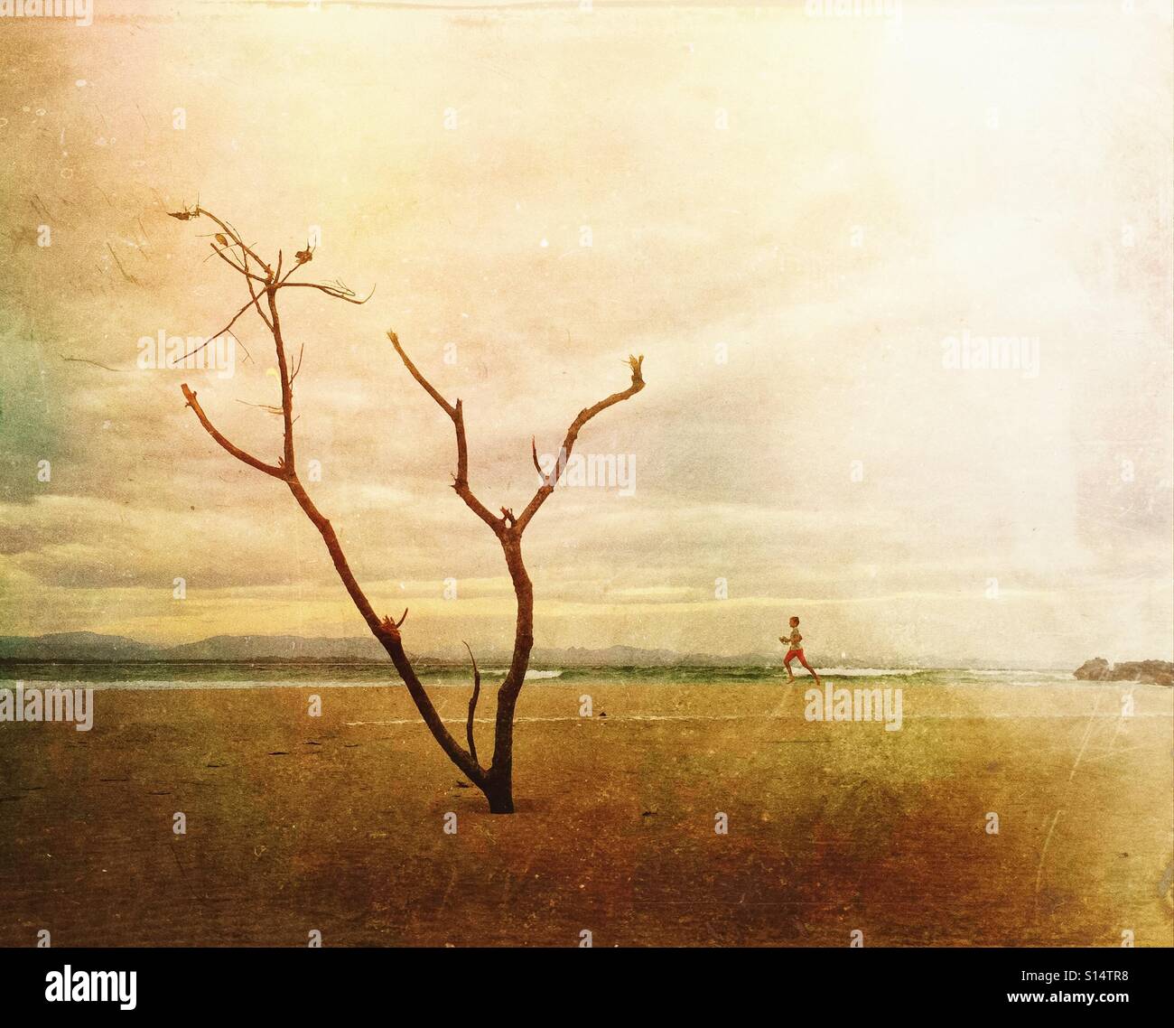 Solitude & Single Tree Stock Photo - Alamy
