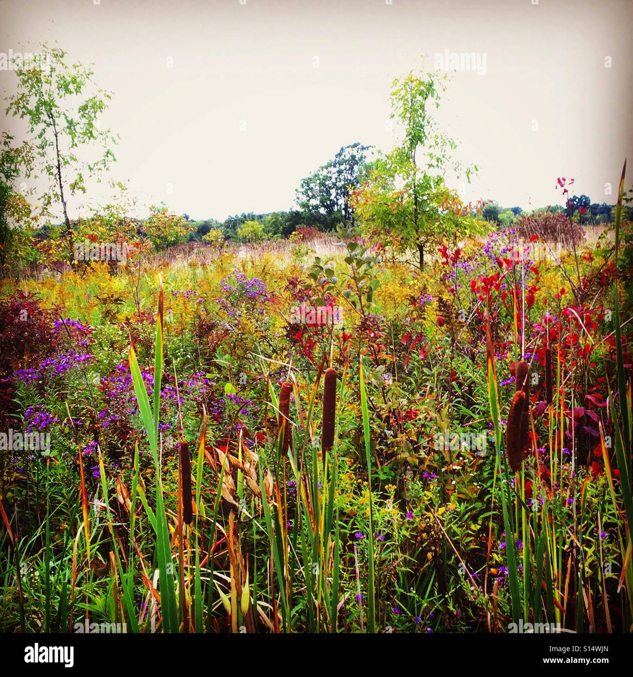 Fall fields hi-res stock photography and images - Alamy