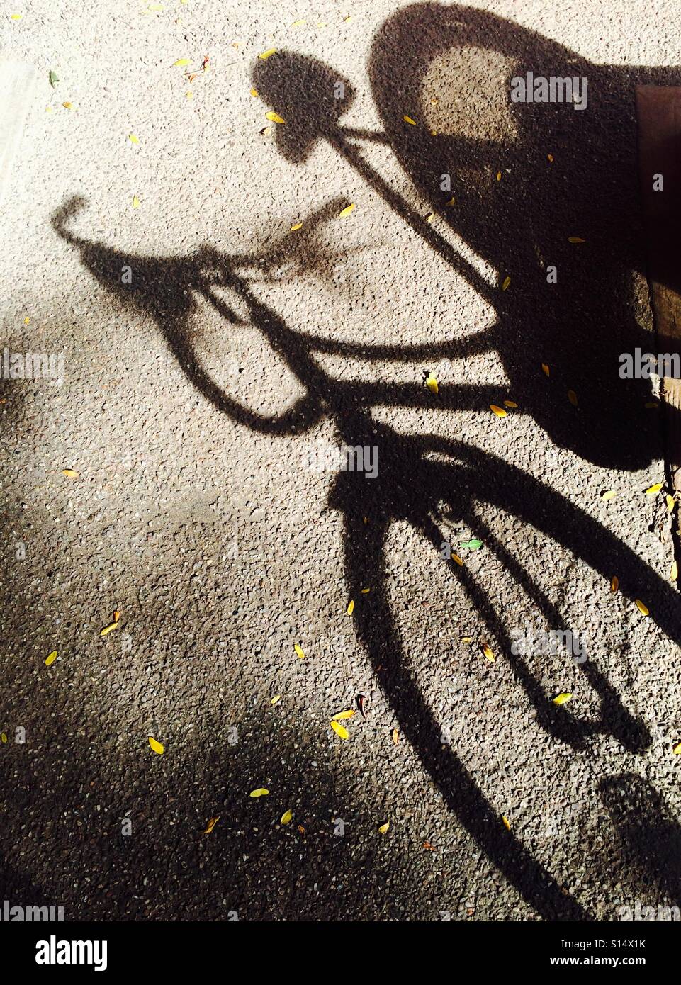 Shadow bicycle hi-res stock photography and images - Alamy