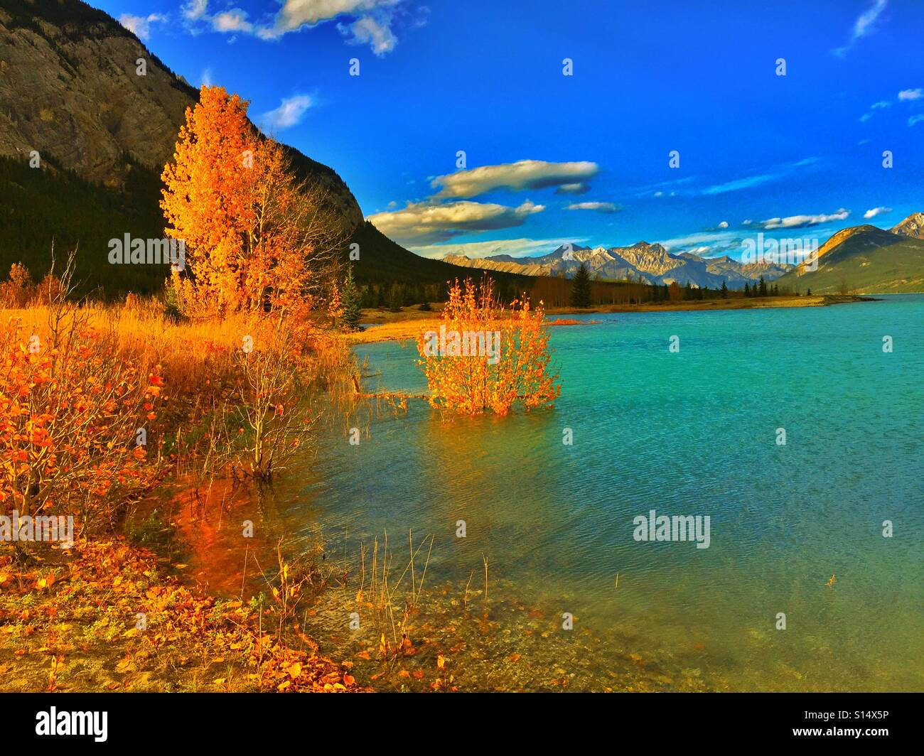 Abraham Lake in David Thompson country, Alberta Stock Photo - Alamy