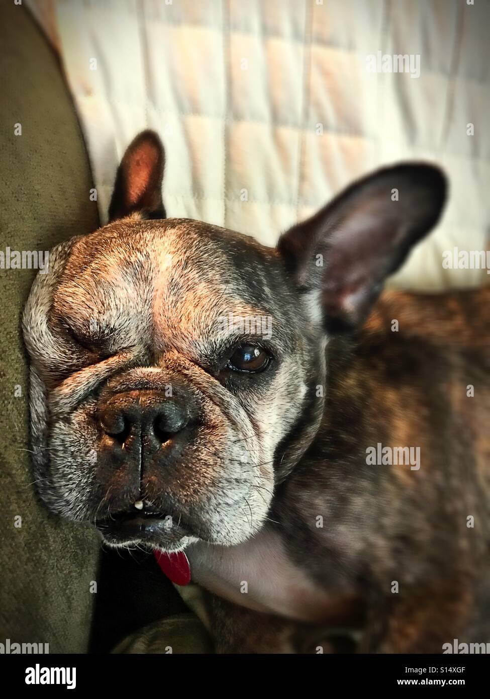 Smashed face hi-res stock photography and images - Alamy