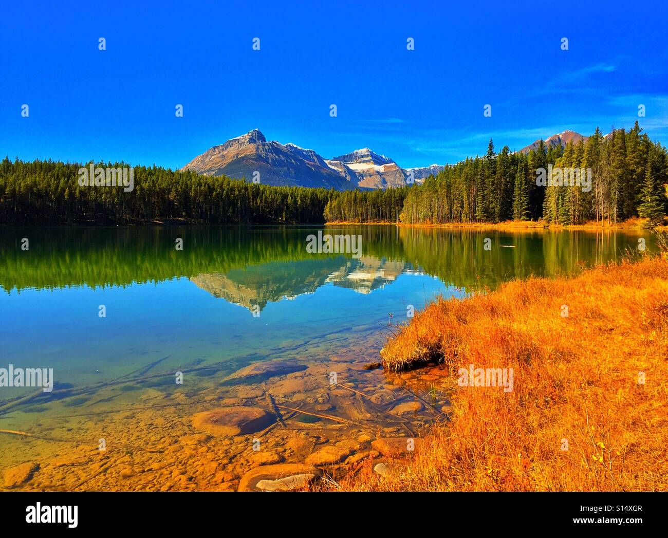 Autumn at Herbert Lake, Banff National Park, Alberta, Canada Stock ...