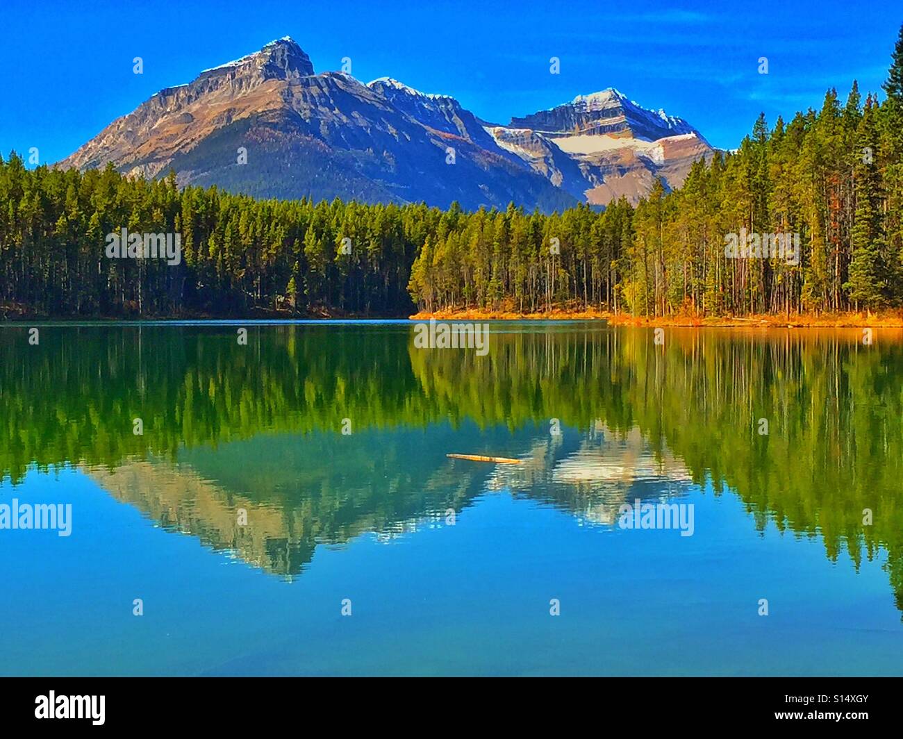 Herbert Lake, Banff National Park, Alberta, Canada Stock Photo - Alamy