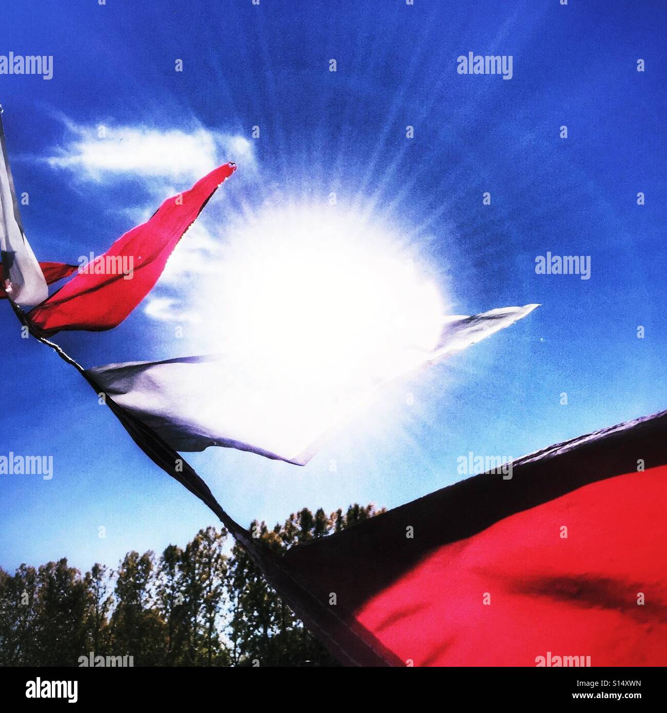Red and white pennants flying in the wind Stock Photo - Alamy