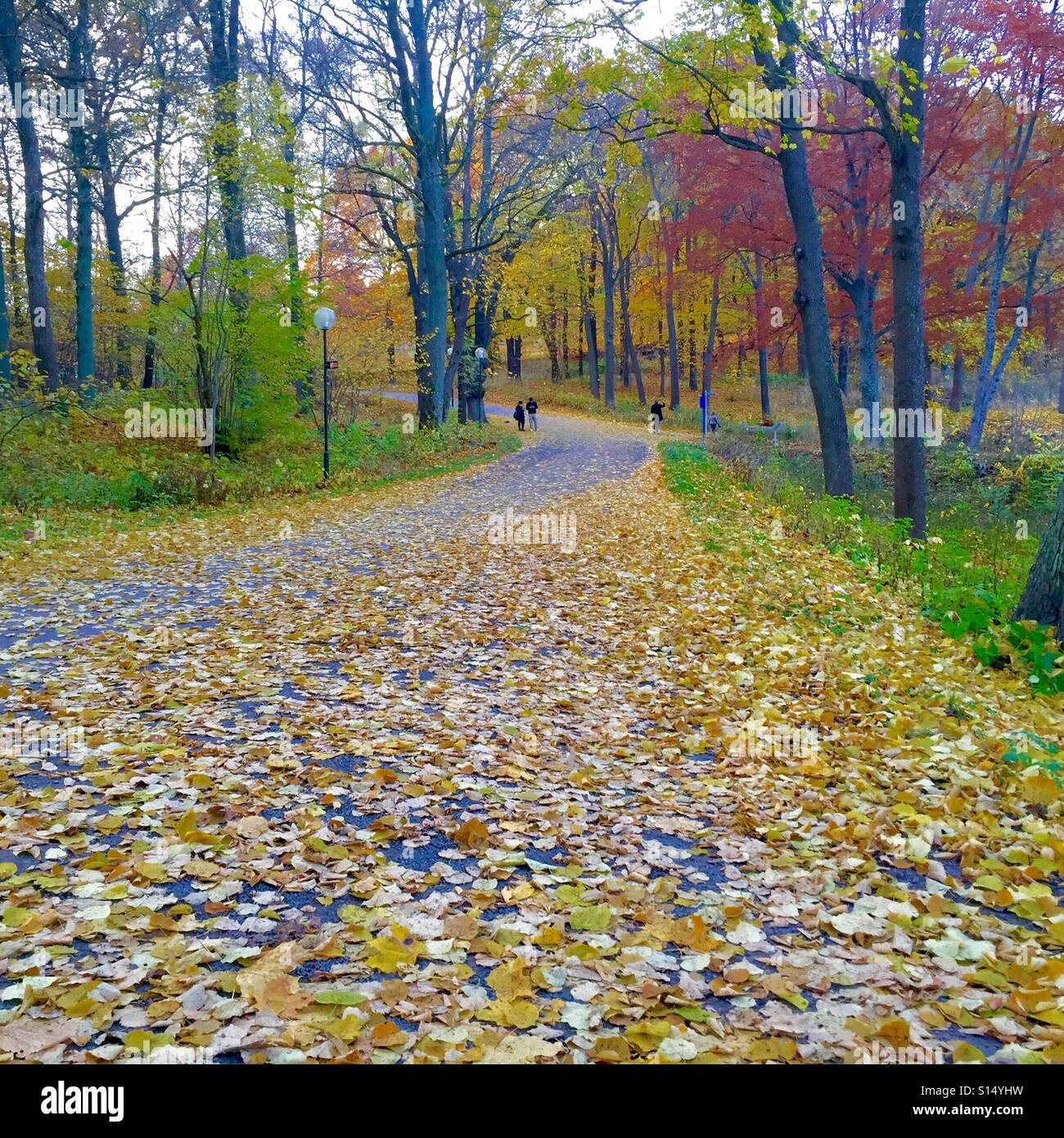 Stockholm sweden autumn hi-res stock photography and images - Alamy