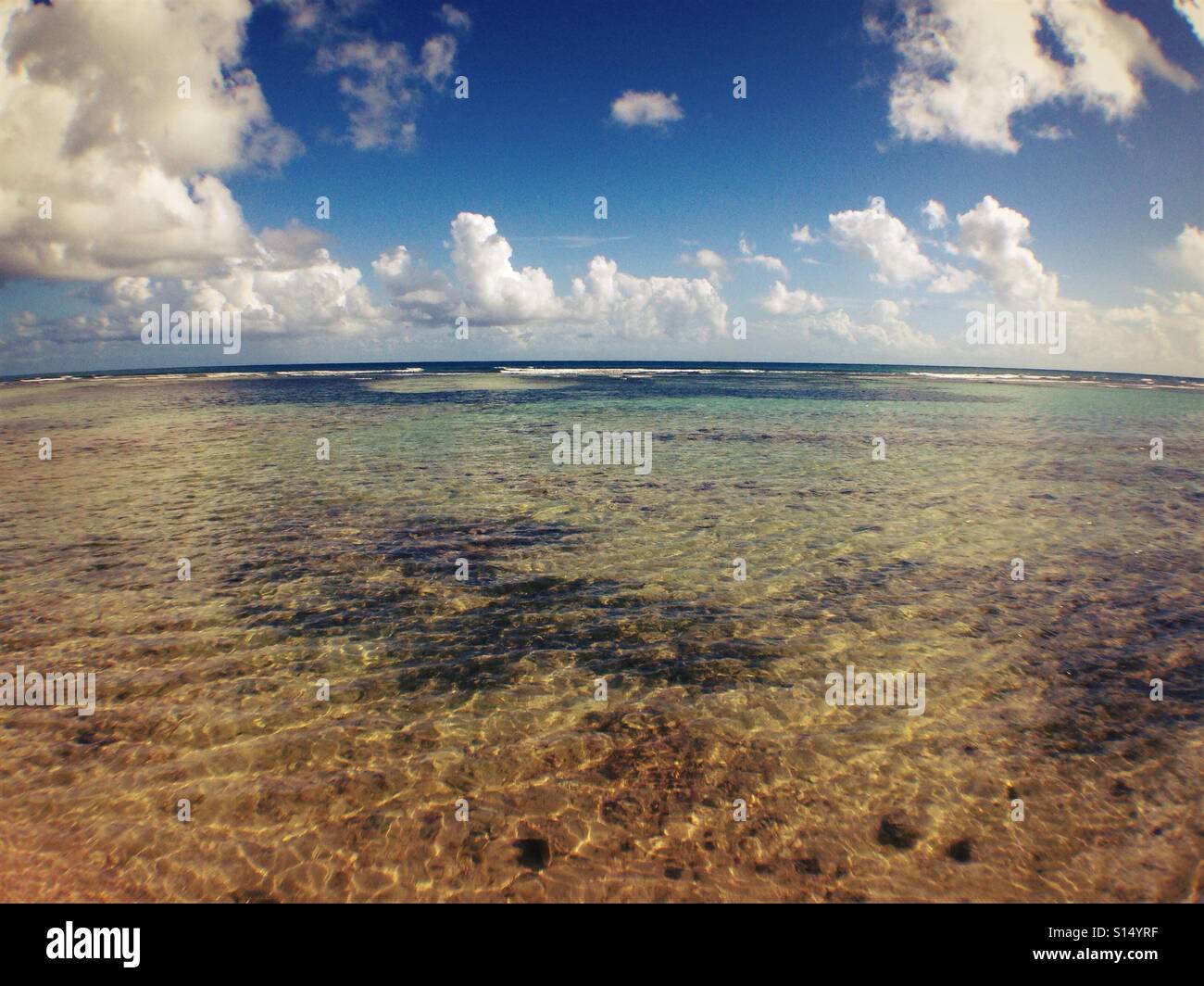Shallow seas around the West Coast of Antigua Stock Photo - Alamy