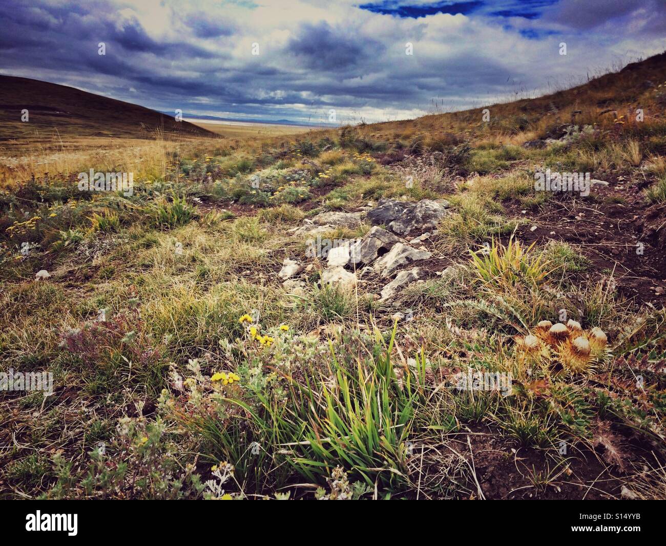 Desolation wilderness hi-res stock photography and images - Alamy