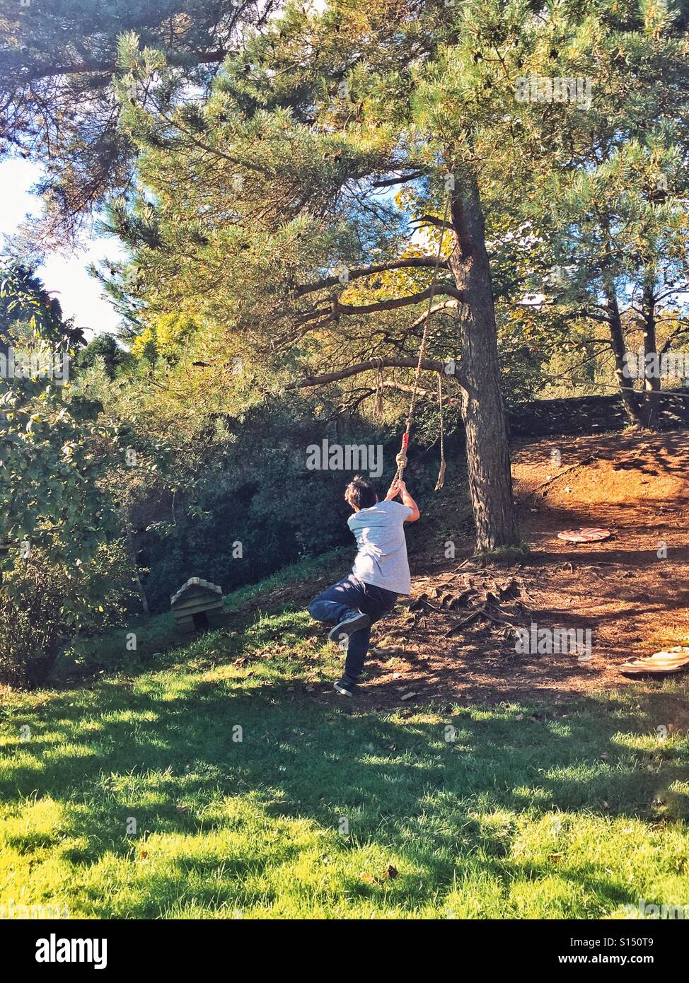 Boy playing on rope swing hi-res stock photography and images - Alamy