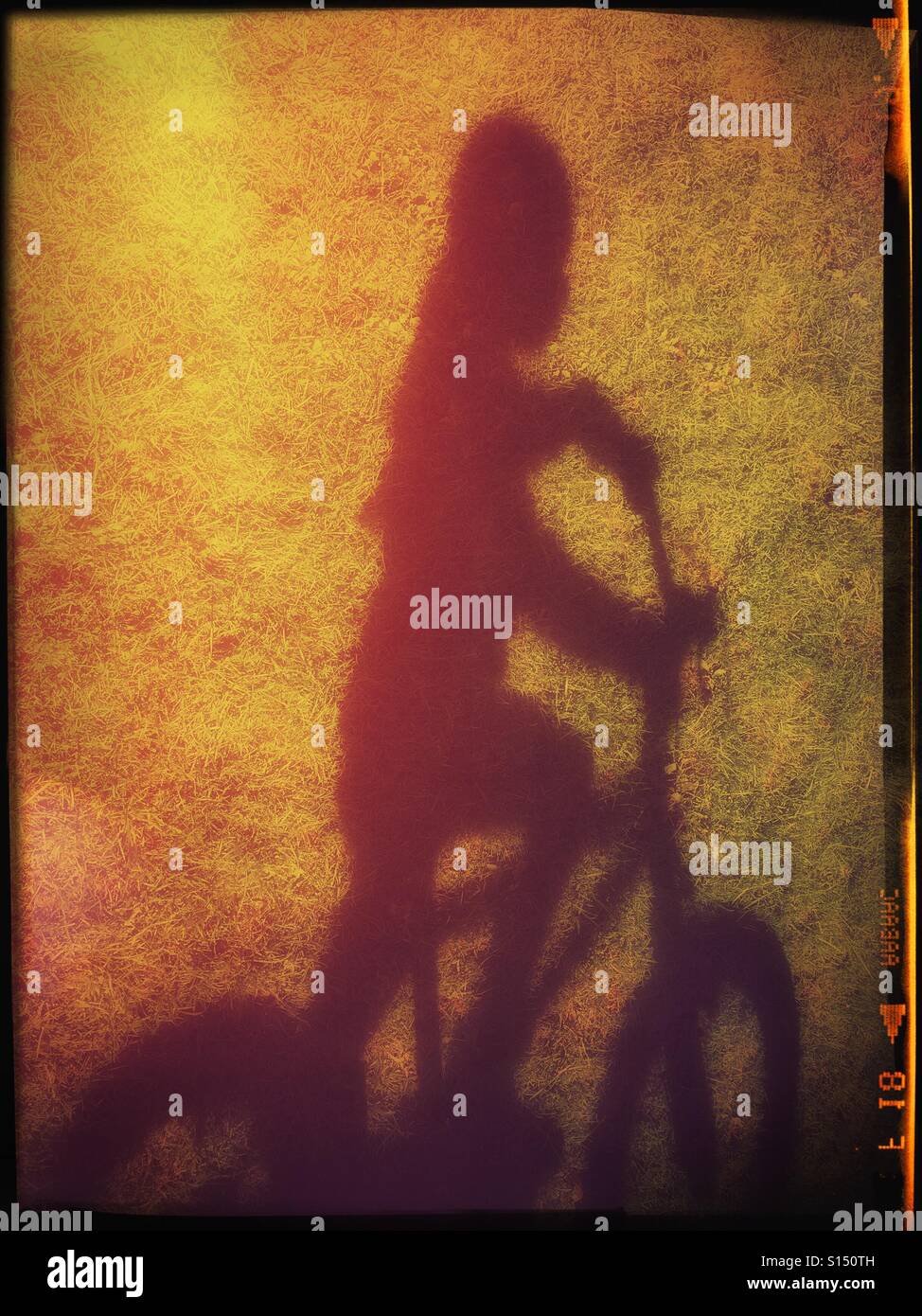 The shadow of a 4 year old girl riding her bicycle is cast onto a field ...