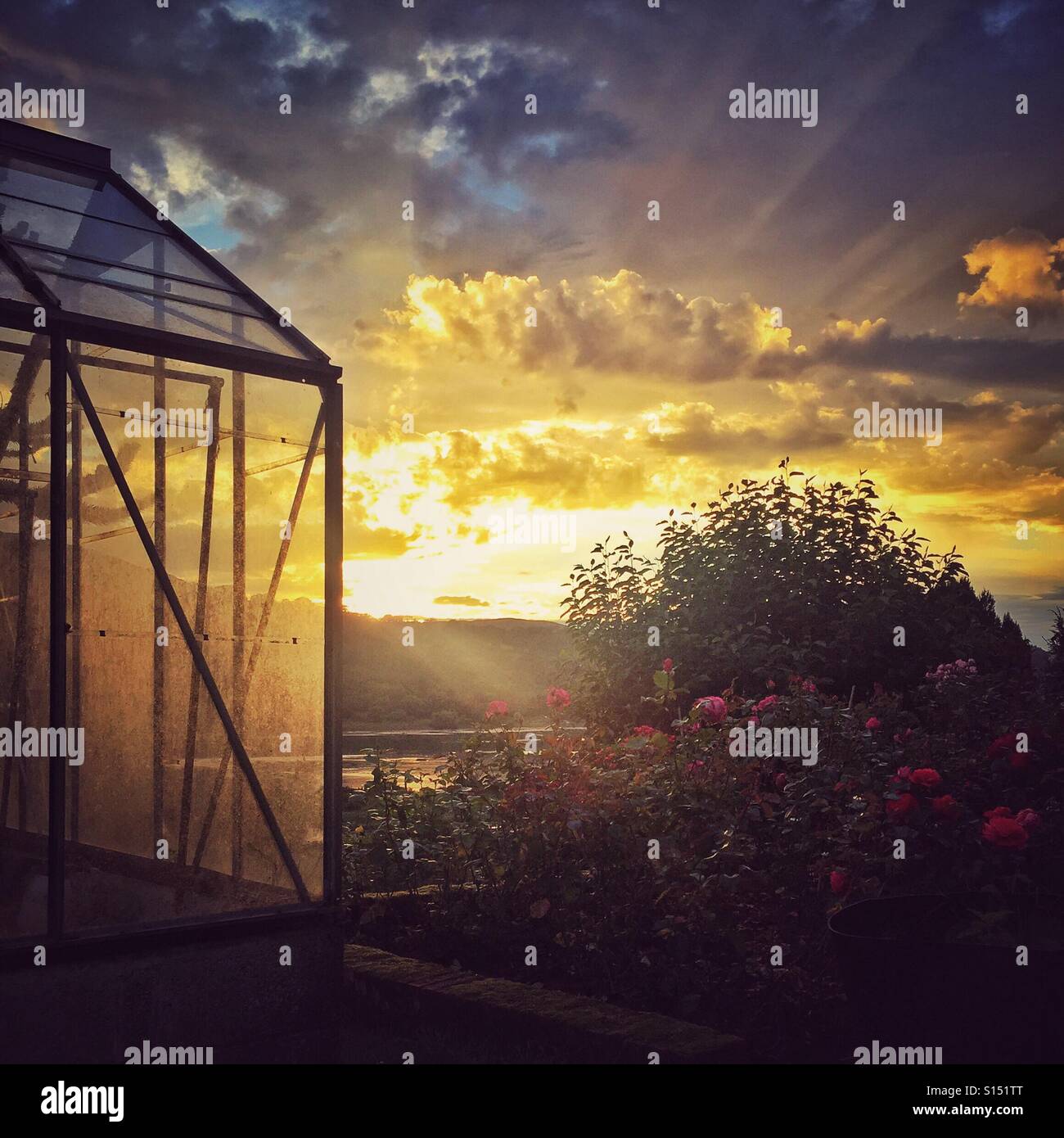 Greenhouse silhouette hi-res stock photography and images - Alamy