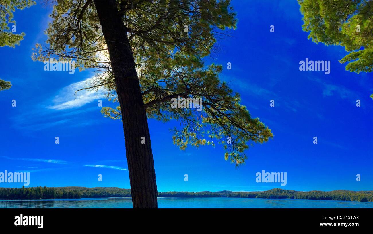 Sun behind the tree hi-res stock photography and images - Alamy