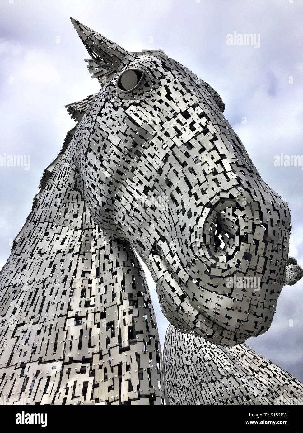 Kelpies horse hi-res stock photography and images - Alamy