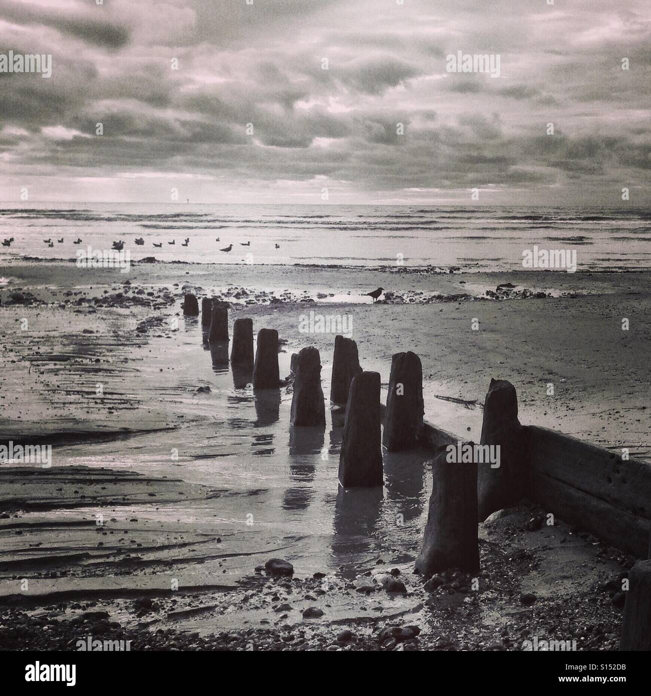 Old sea wall hi-res stock photography and images - Alamy