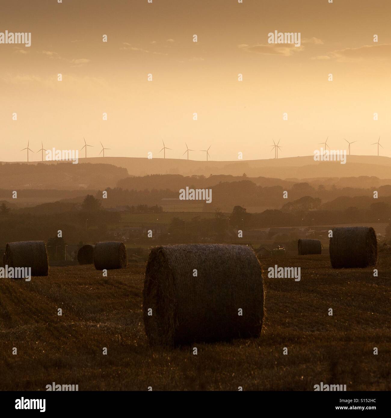 Wind harvest hi-res stock photography and images - Alamy
