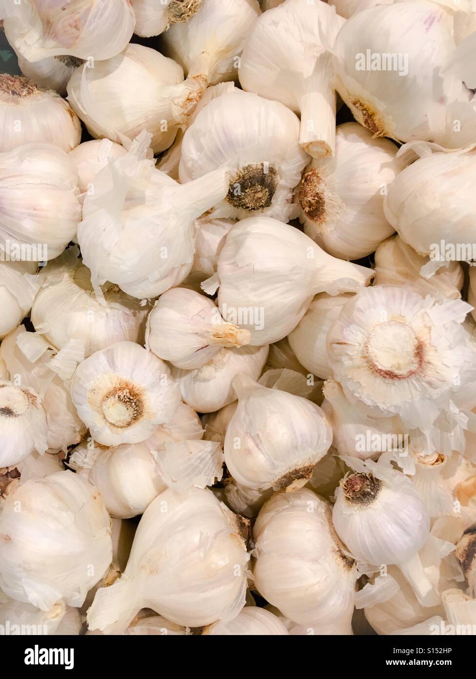 Random selection of garlic bulbs Stock Photo - Alamy