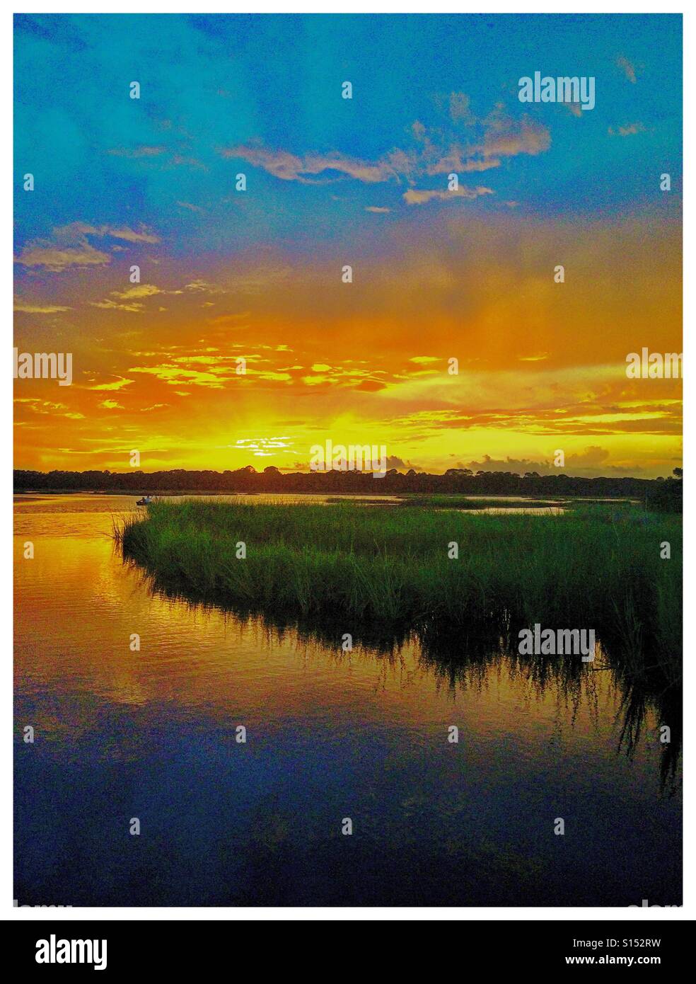 Guana hi-res stock photography and images - Alamy