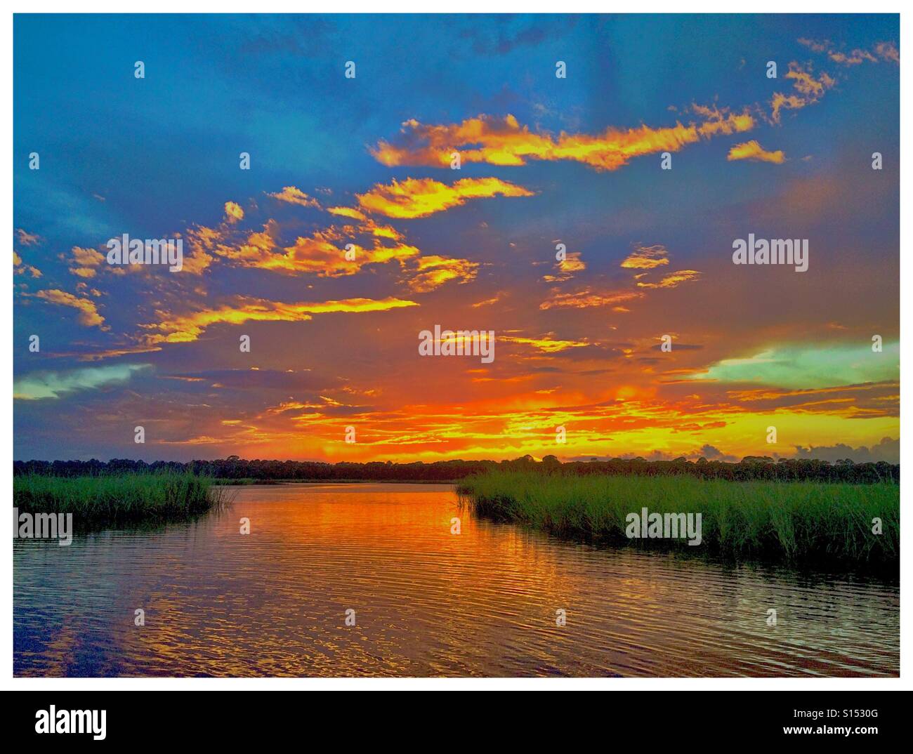 Guana state park hi-res stock photography and images - Alamy