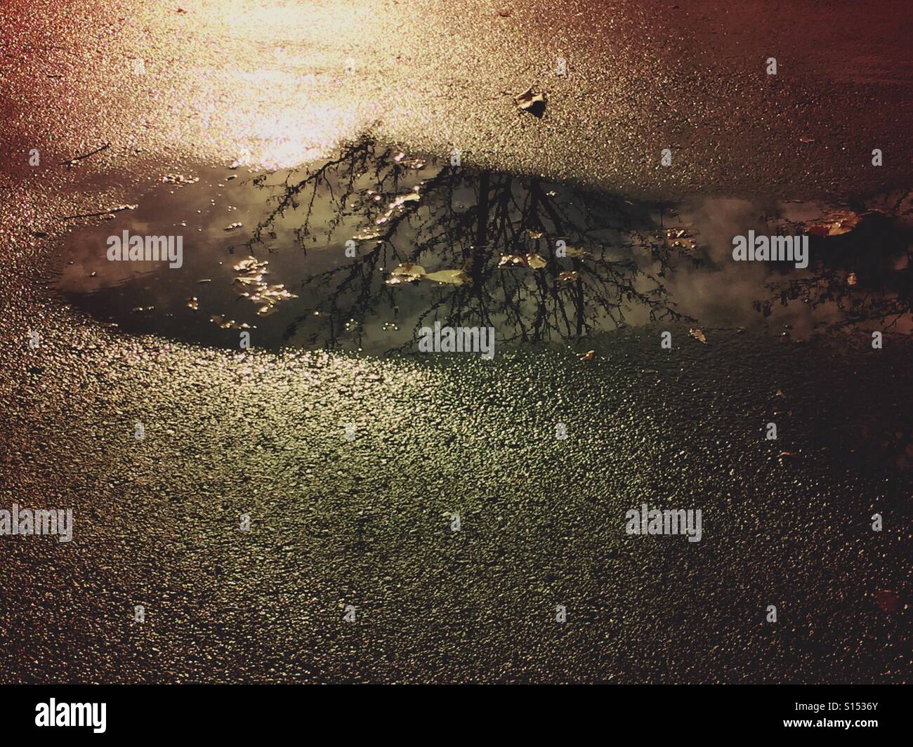 Rain puddle hi-res stock photography and images - Alamy