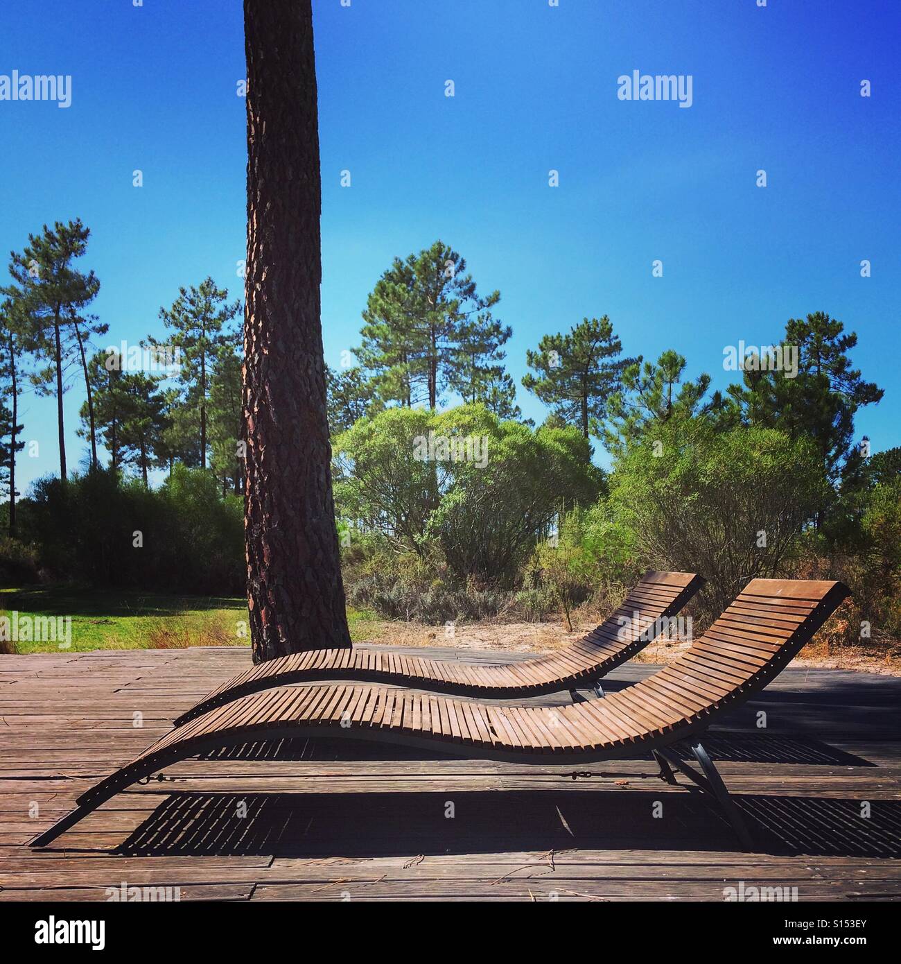 Blue zen hi-res stock photography and images - Alamy